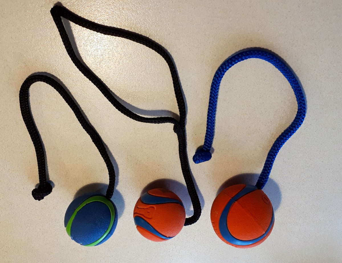 CHUCKIT ULTRA BALL MED SNOR + INDVENDIG GEMT KNUDE.. "VÆLG IMELLEM 2 ...